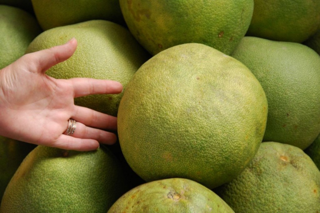All hail the Pomelo - Westender