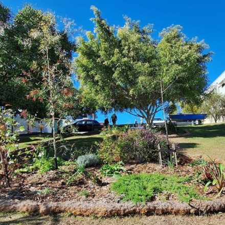 What makes a “Queenslander”? - Westender